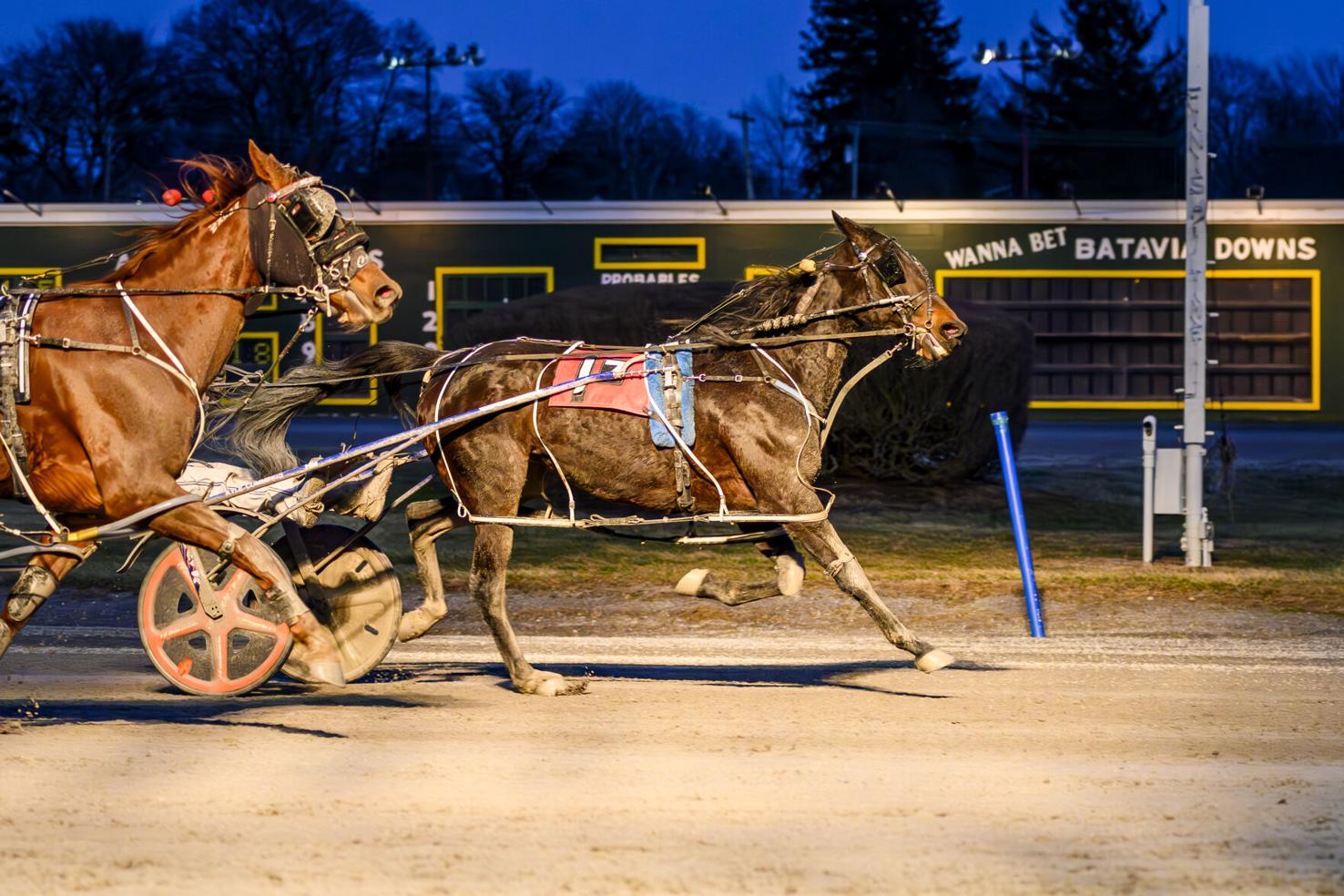 Rocknroll Shelli takes shortest route to Batavia feature win | Sports ...