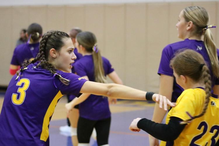 SEC. V GIRLS VOLLEYBALL: 'Third time's the charm' as York sweeps Perry ...