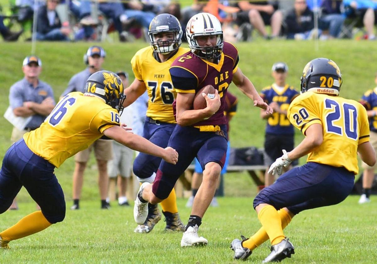 SENIOR PROFILE: Colton Dillon left a lasting legacy at Elba | Sports ...