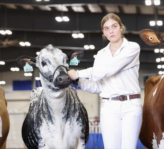 Six contestants are vying for Elba Onion Queen title | Local News ...