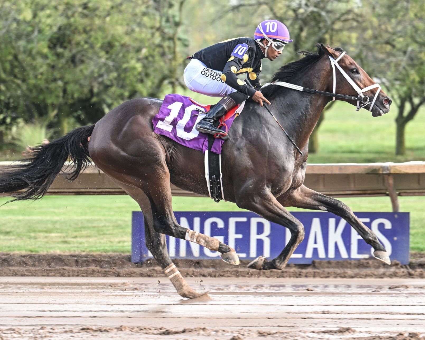 Arctic Beast returns to Finger Lakers in $155,667 New York Breeders ...