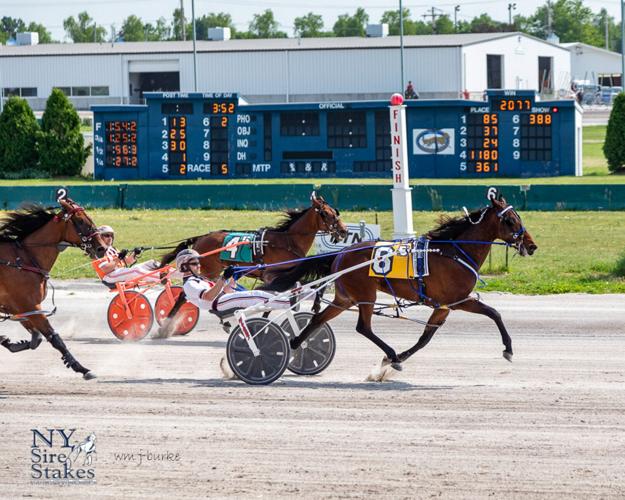 HORSE RACING: Vivans Dream, Turn On The Charm winners at Buffalo ...