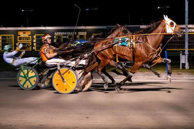 Good Boy was best in Batavia Friday feature | Sports ...