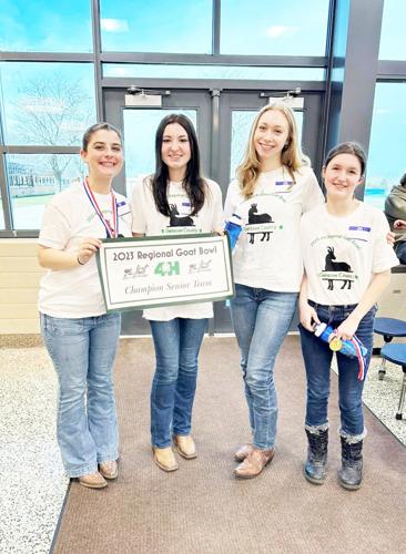 Genesee Conty 4-H’ers get the ‘goat’ | Lifestyles | thedailynewsonline.com