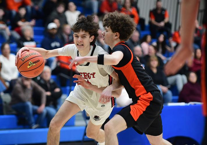 SEC. V BOYS BASKETBALL: Gilligan, Weaver help Le Roy surge past ...