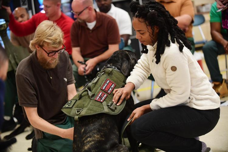 A ‘pawsitive’ day for veterans: Groveland Correctional celebrates ...