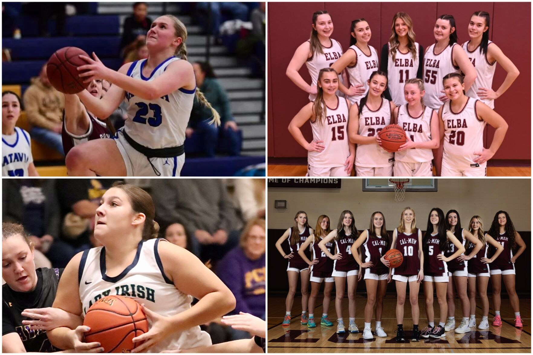 H.S. GIRLS BASKETBALL: Previewing Batavia Rotary Club Tournament ...