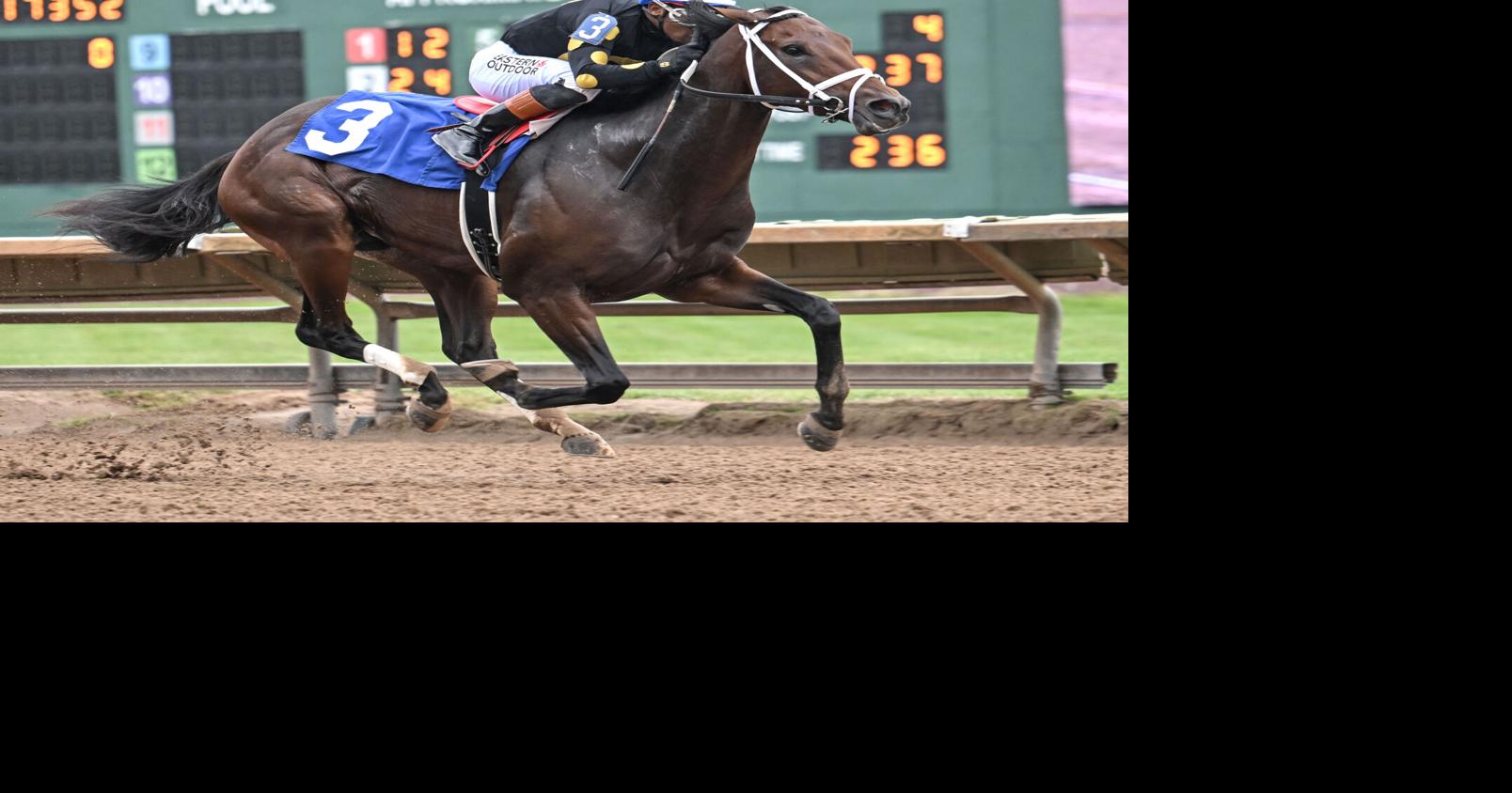 Artic Beast wins New York Breeders' Futurity | Sports ...
