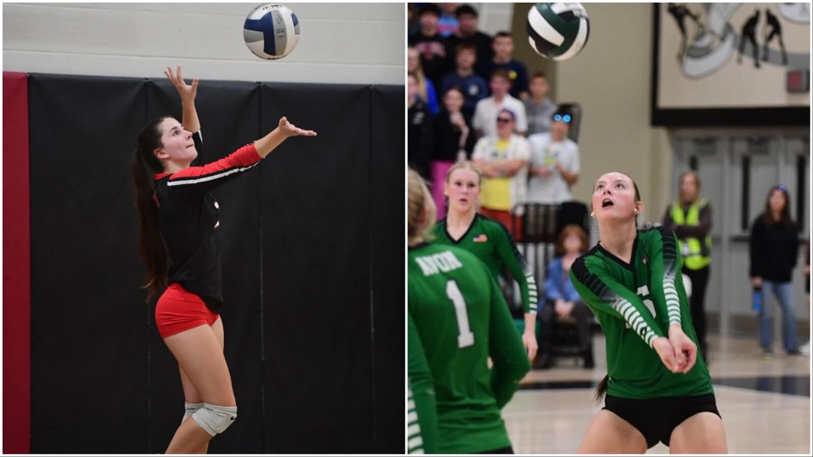 SEC. V GIRLS VOLLEYBALL: Le Roy, Avon to square off in 'C1' final rematch | Sports ...