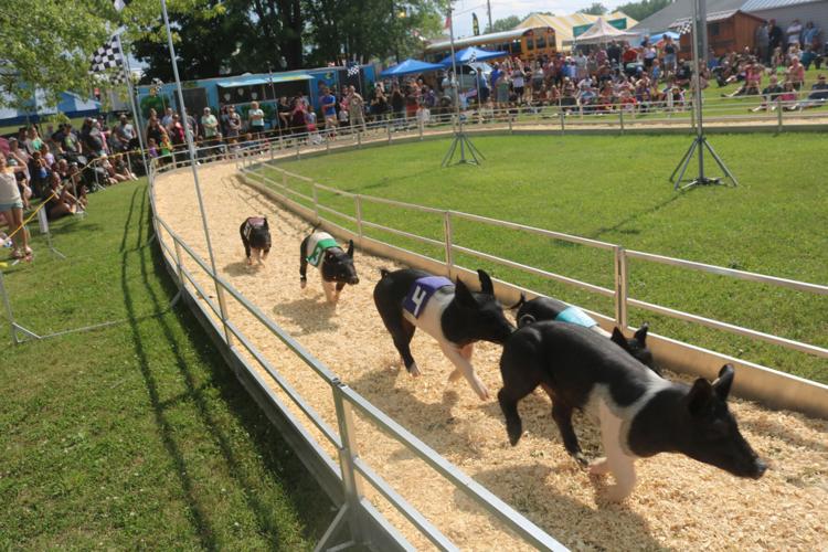 PHOTO GALLERY: Genesee County Fair | Top Story | thedailynewsonline.com