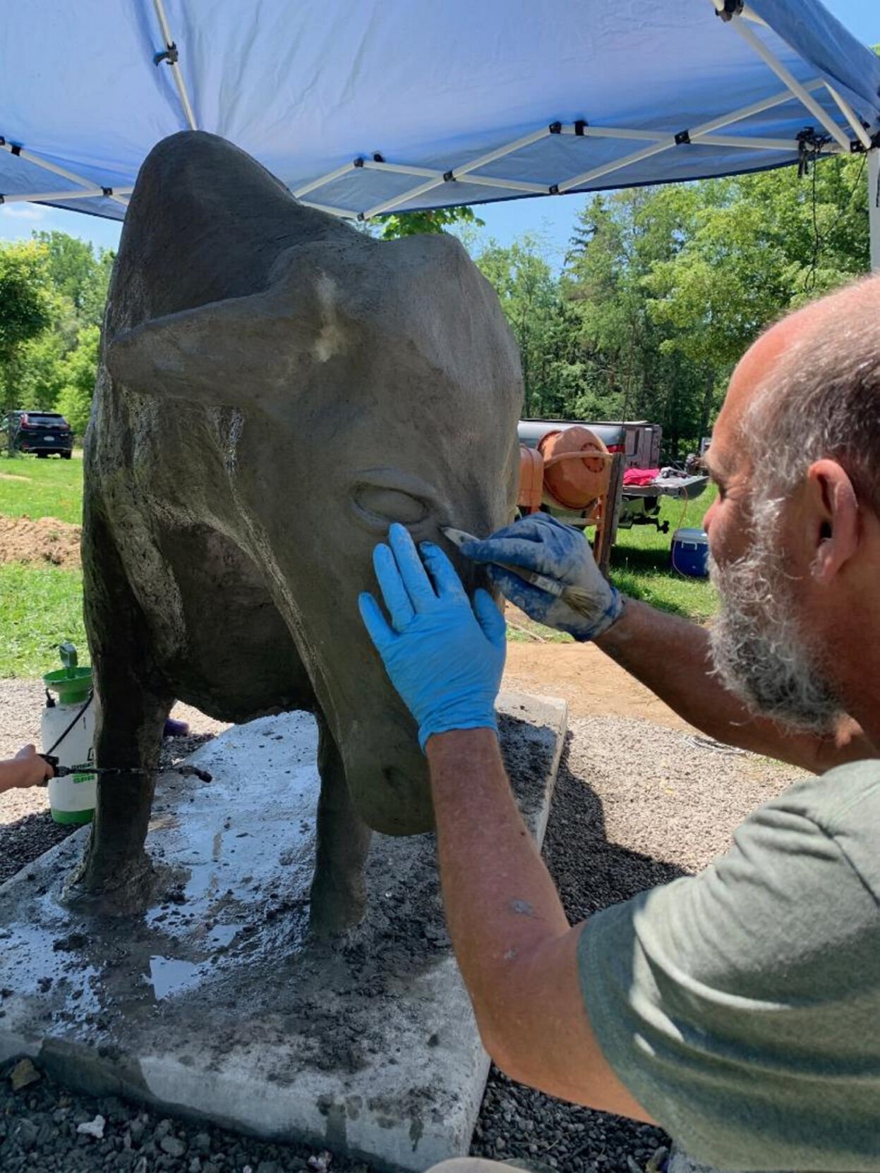 A cow and a chicken and maple syrup: That’s Wyoming County | Top Story ...