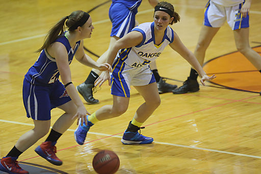 GIRLS BASKETBALL: To Michaela, all Hale | Sports | thedailynewsonline.com