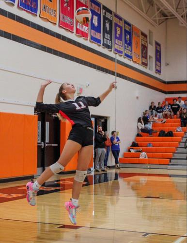 H.S. GIRLS VOLLEYBALL: Kanaley, Williams carry Le Roy past Warsaw ...