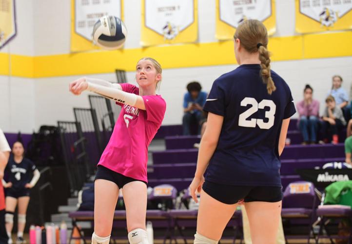 SEC. V GIRLS VOLLEYBALL: Orman, Balisciano set career highs as York ...