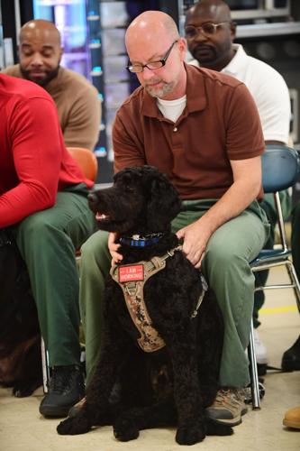 A ‘pawsitive’ day for veterans: Groveland Correctional celebrates ...