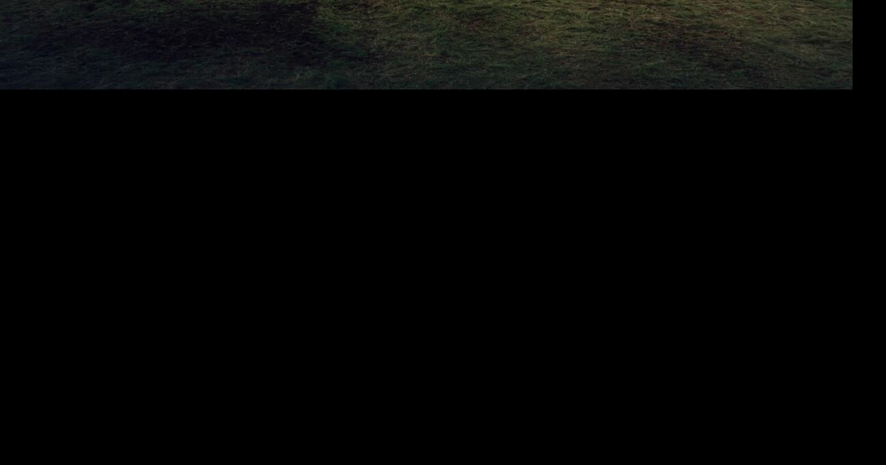 Highly Pathogenic Avian Influenza Found in Wisconsin Dairy Herd | News ...