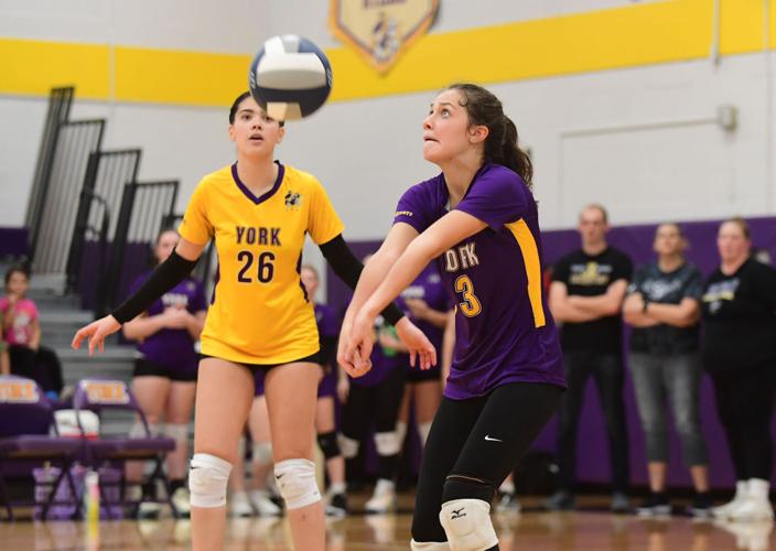 SEC. V GIRLS VOLLEYBALL: Orman, Balisciano set career highs as York ...