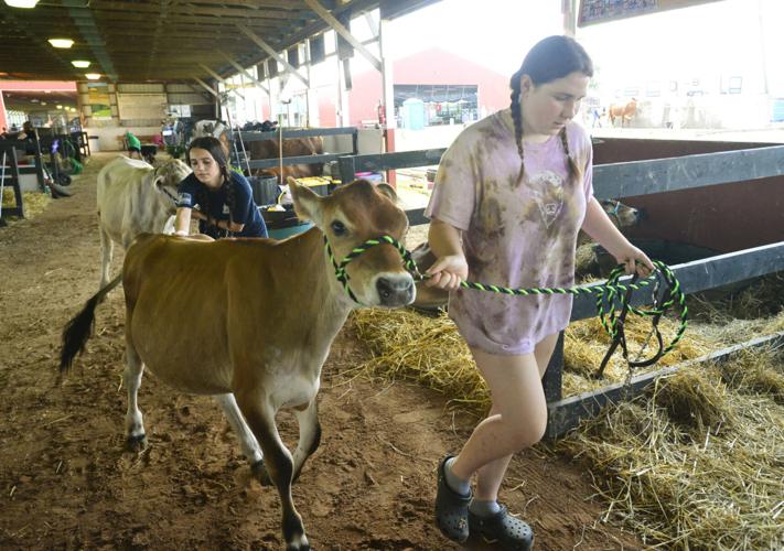 PHOTOS: Opening day at Orleans County Fair | Top Story ...