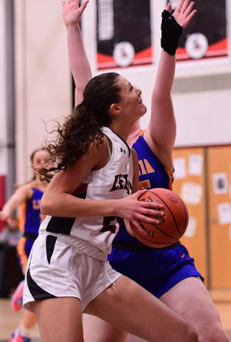 GIRLS BASKETBALL: Livonia storms past Le Roy behind game-high 26 points ...