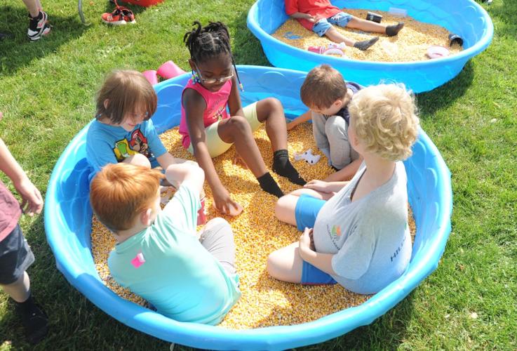 Kinderfarmin': Nearly 700 students visit Hildene Farms in Pavilion ...