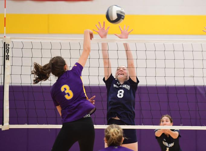 SEC. V GIRLS VOLLEYBALL: Orman, Balisciano set career highs as York ...