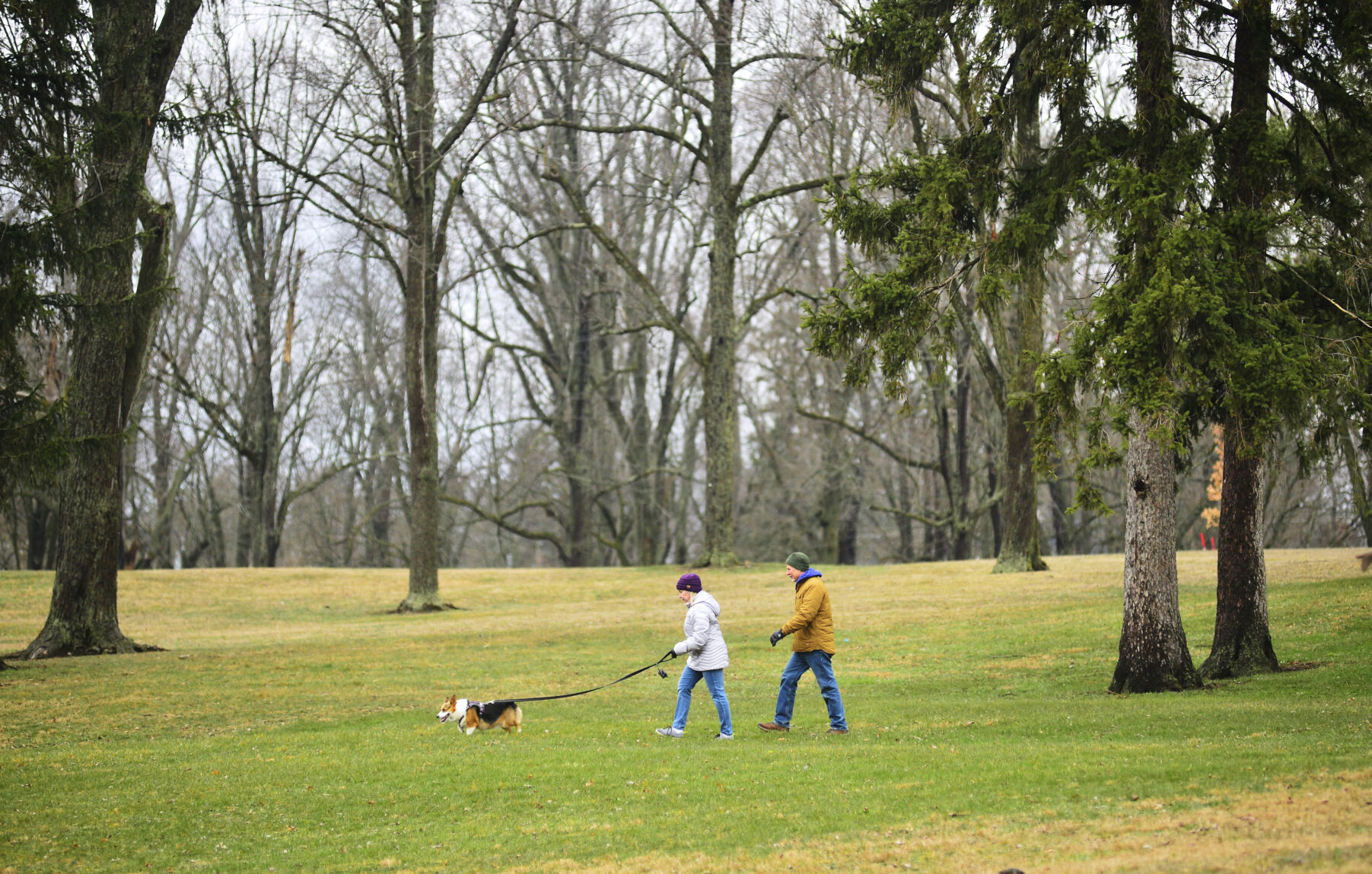 City police offer reminders for dog owners | News | thedailynewsonline.com