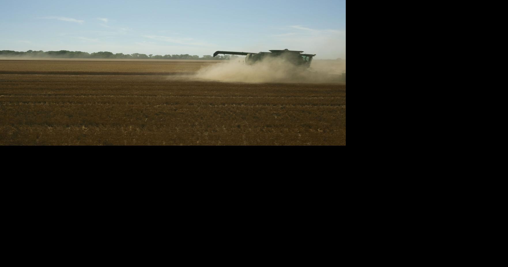 Unplanted acres in U.S. surge on extreme rain, drought | Top Story ...