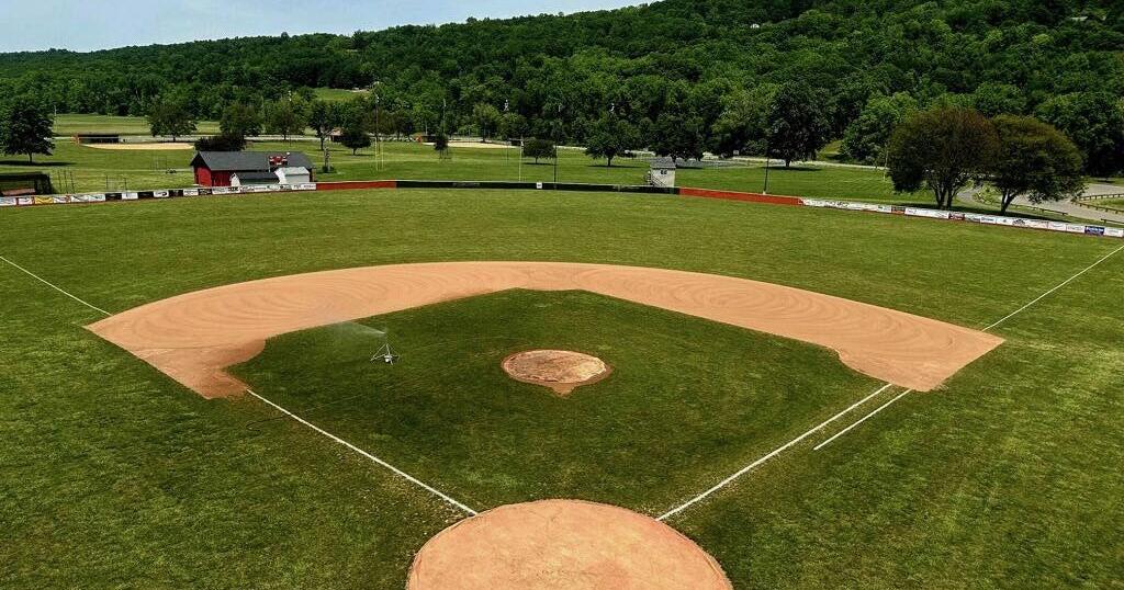 H.S. BASEBALL: Sick sparks Dansville's win over Hornell | Sports ...