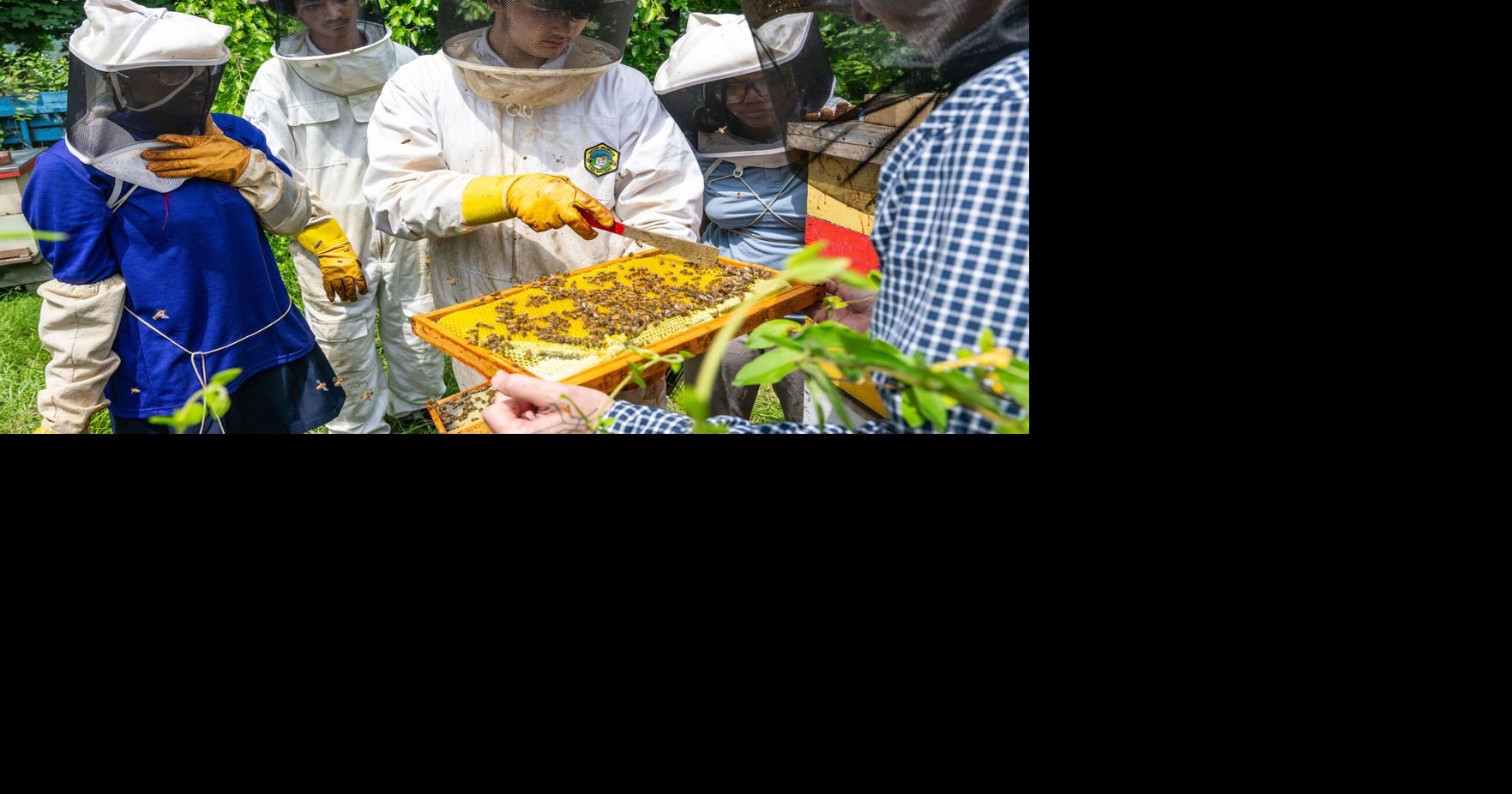 'You're a beekeeper': Students conquer their fears in this scary but ...