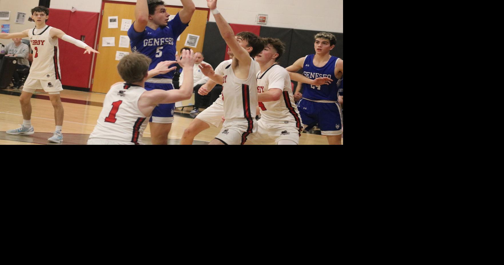 H.S. BOYS BASKETBALL: Ray, Hepler boost Geneseo to close win against Le ...