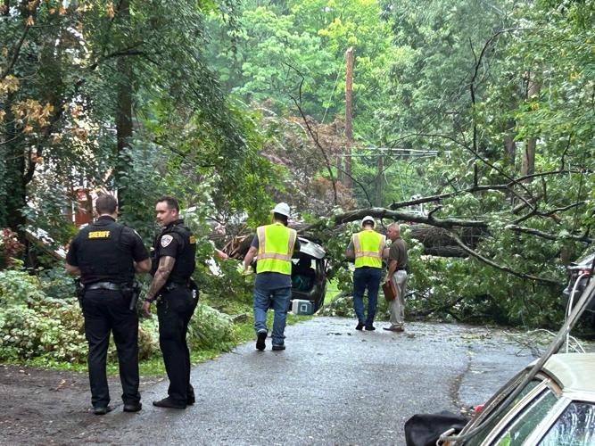 WATCH: 1 dead, another hospitalized after tree collapses on house in ...