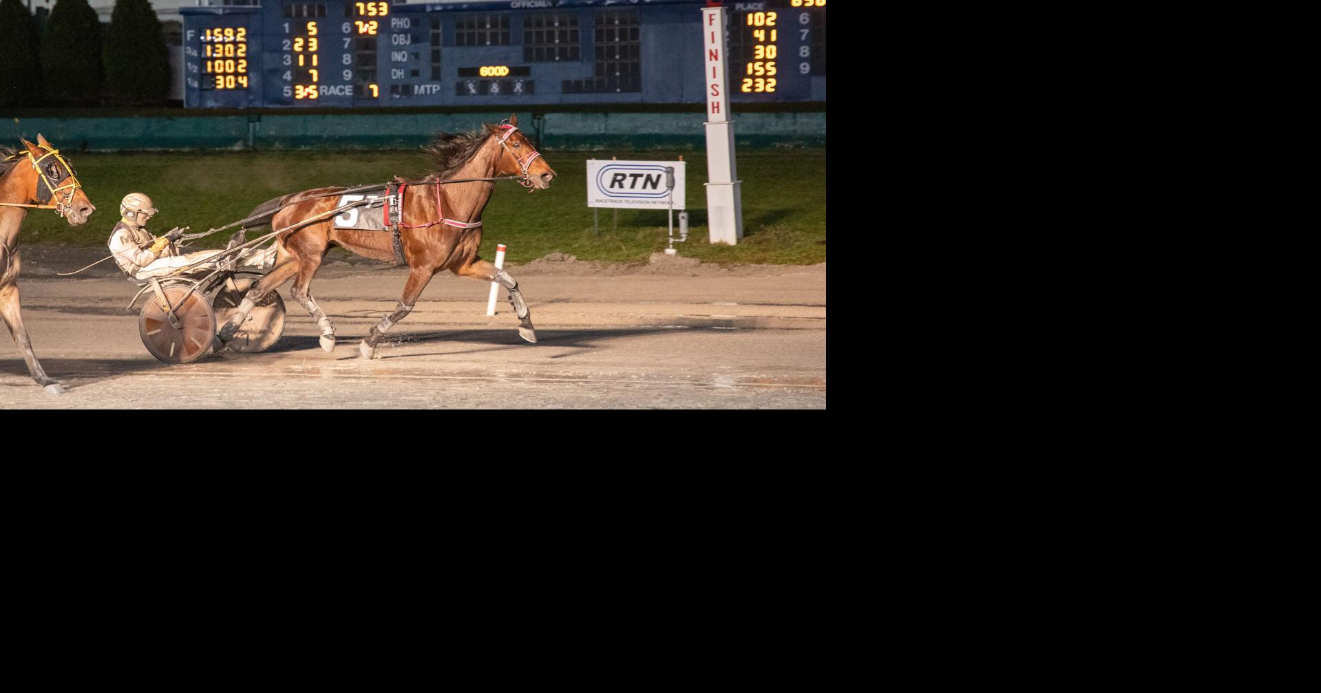 HARNESS RACING: Power And Grace dominates again at Buffalo Raceway ...