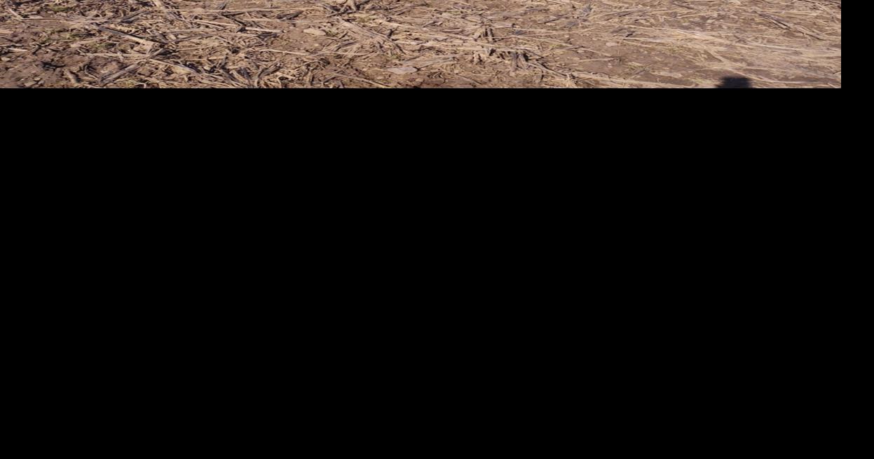 Plane makes emergency landing in corn field | Top Story ...