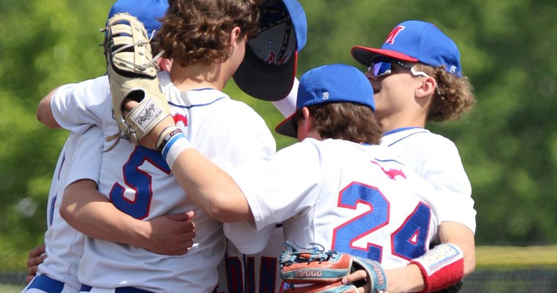 NYSPHSAA BASEBALL: Medina reaches third-ever final four | Sports ...