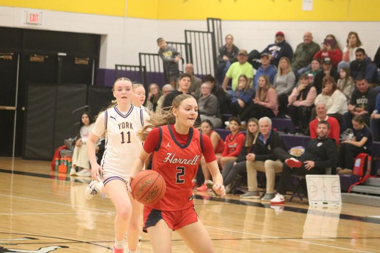 H.S. GIRLS BASKETBALL: Dyring, Evingham combine to help propel Hornell ...