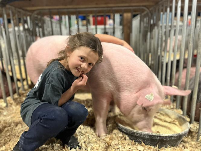 ‘Freckles’ earns a cool $4,000 at 4-H Meat Animal Auction | Top Story ...