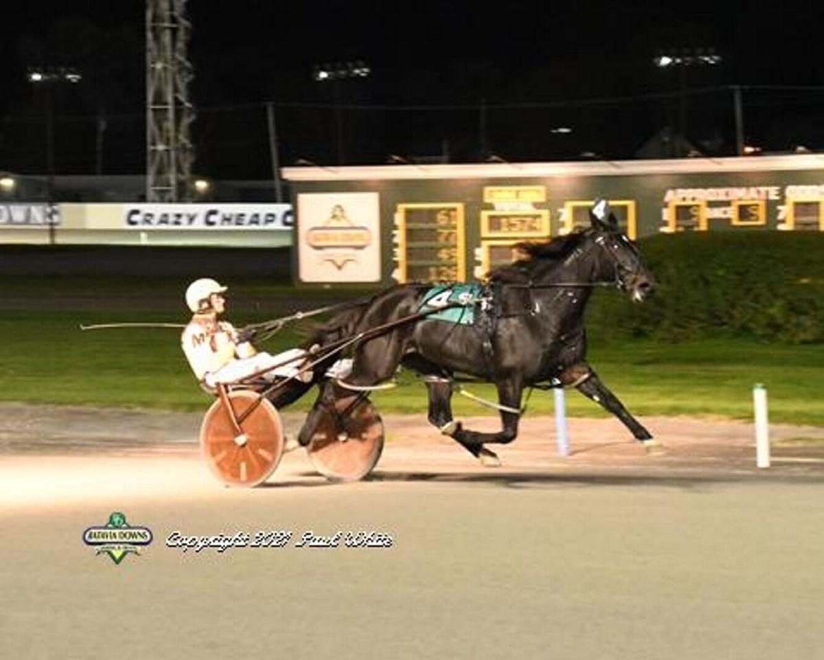 BATAVIA DOWNS: No Where To Hide, Morrill big winners at Batavia ...