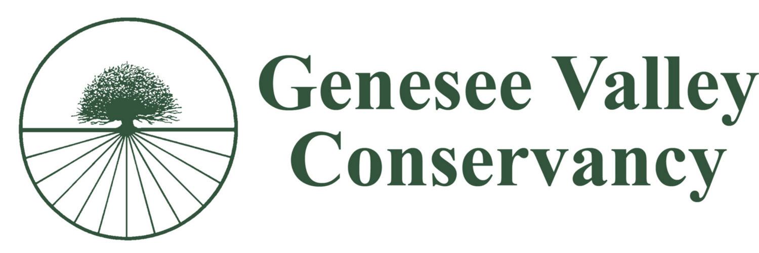 Mixed media to be focus of next Genesee Valley 100 art project ...