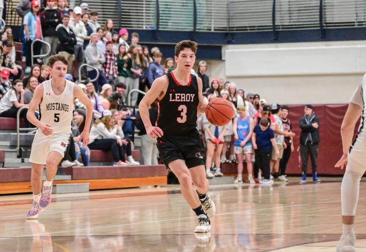 SEC. V BOYS BASKETBALL: Le Roy edges Dansville, advances to first ...