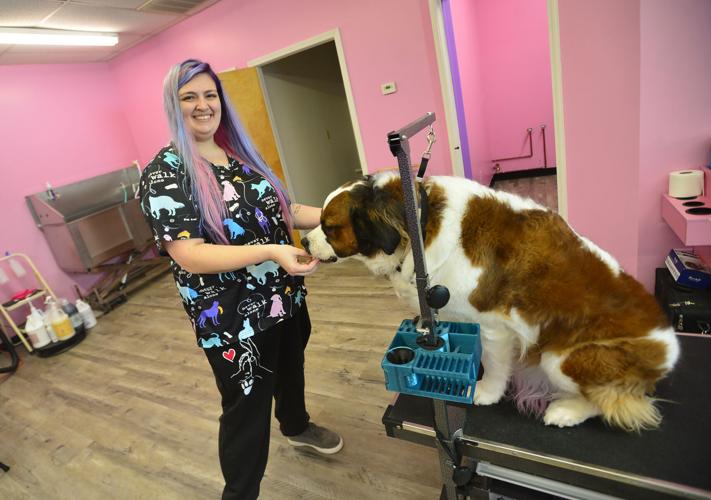 Roo's Paw Spa opens in Le Roy | Cosmetics | thedailynewsonline.com