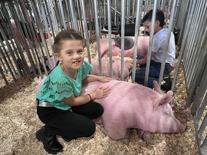 ‘Freckles’ earns a cool $4,000 at 4-H Meat Animal Auction | Top Story ...