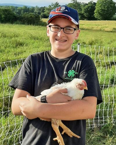 ‘Freckles’ earns a cool $4,000 at 4-H Meat Animal Auction | Top Story ...