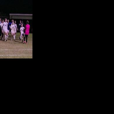SEC. V BOYS SOCCER: Stanley dominant as defending champion Mount Morris ...