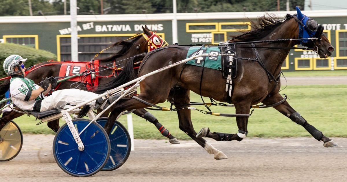 Dave McNeight III wins six at Batavia Downs Saturday | Sports ...