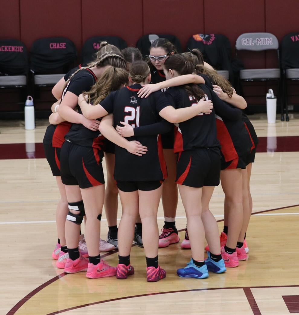 H.S. GIRLS BASKETBALL ROUNDUP: Wilson, Caton lead Le Roy to wins over ...