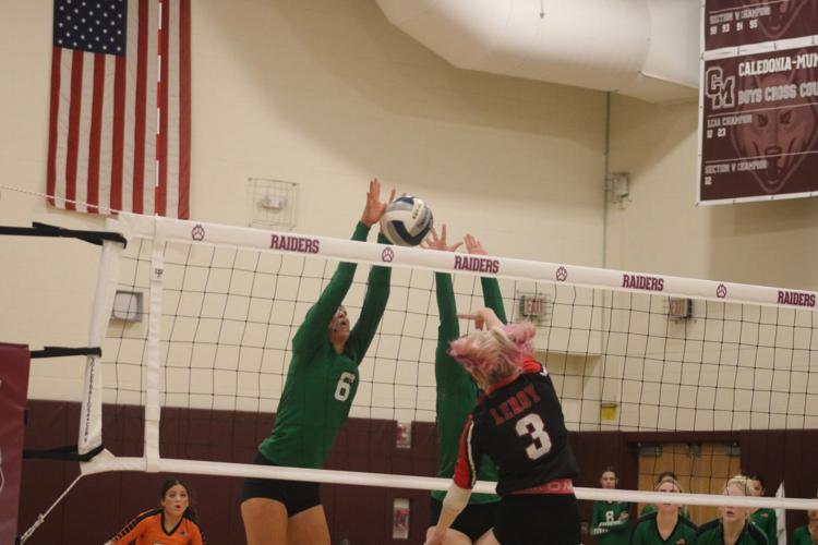 SEC. V GIRLS VOLLEYBALL: Le Roy outlasts Avon to claim second straight 'C1' title | Sports ...