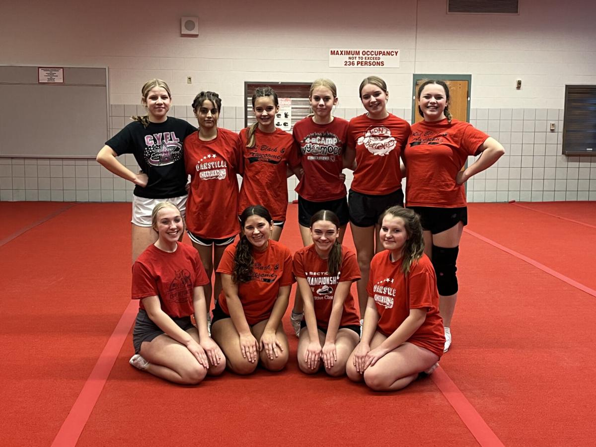 WINTER PREVIEW: Dansville Mustangs | Sports | thedailynewsonline.com