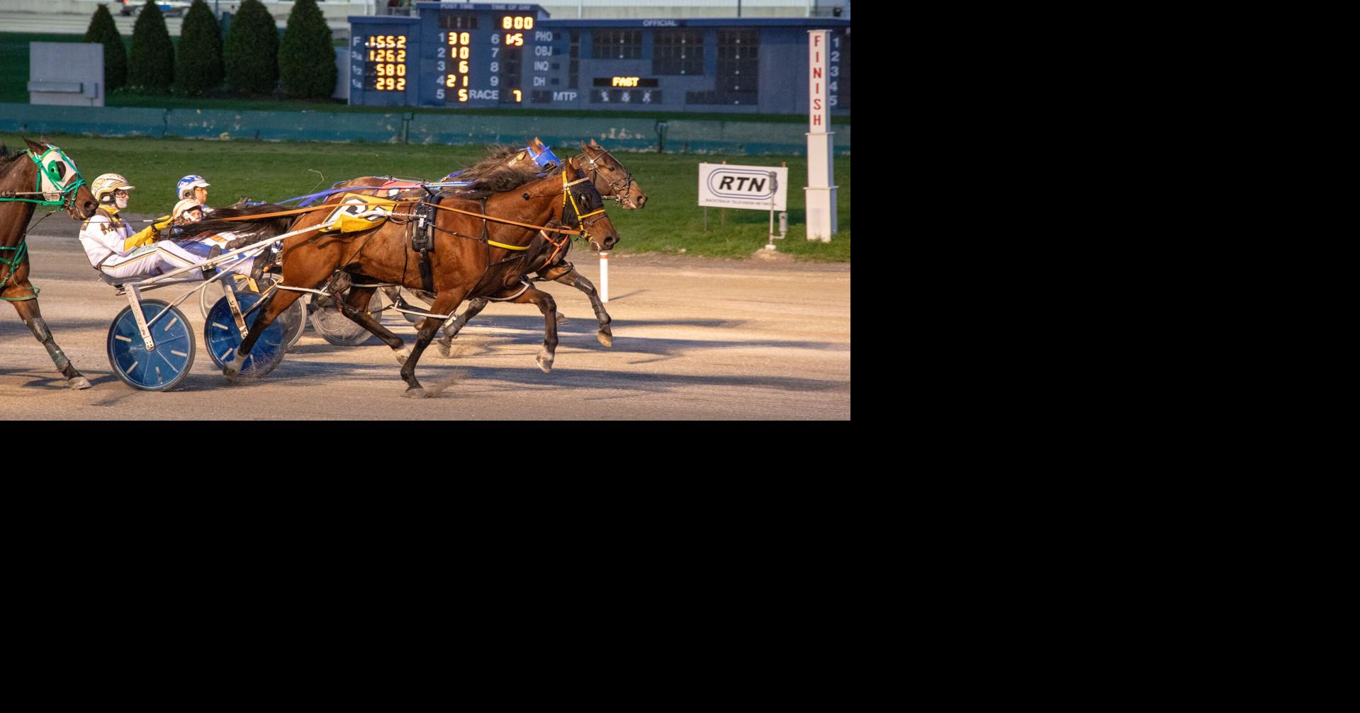 HARNESS RACING: Lip Reader A goes last to first at Buffalo | Sports ...