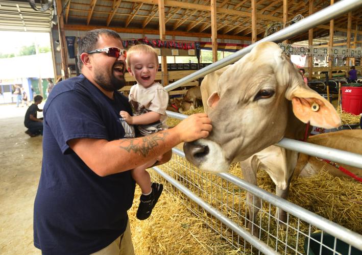 PHOTOS: Busy days at Wyoming County Fair | Top Story ...
