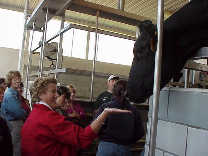 Cornell Cooperative Extension Executive Director Bev Mancuso looks back ...